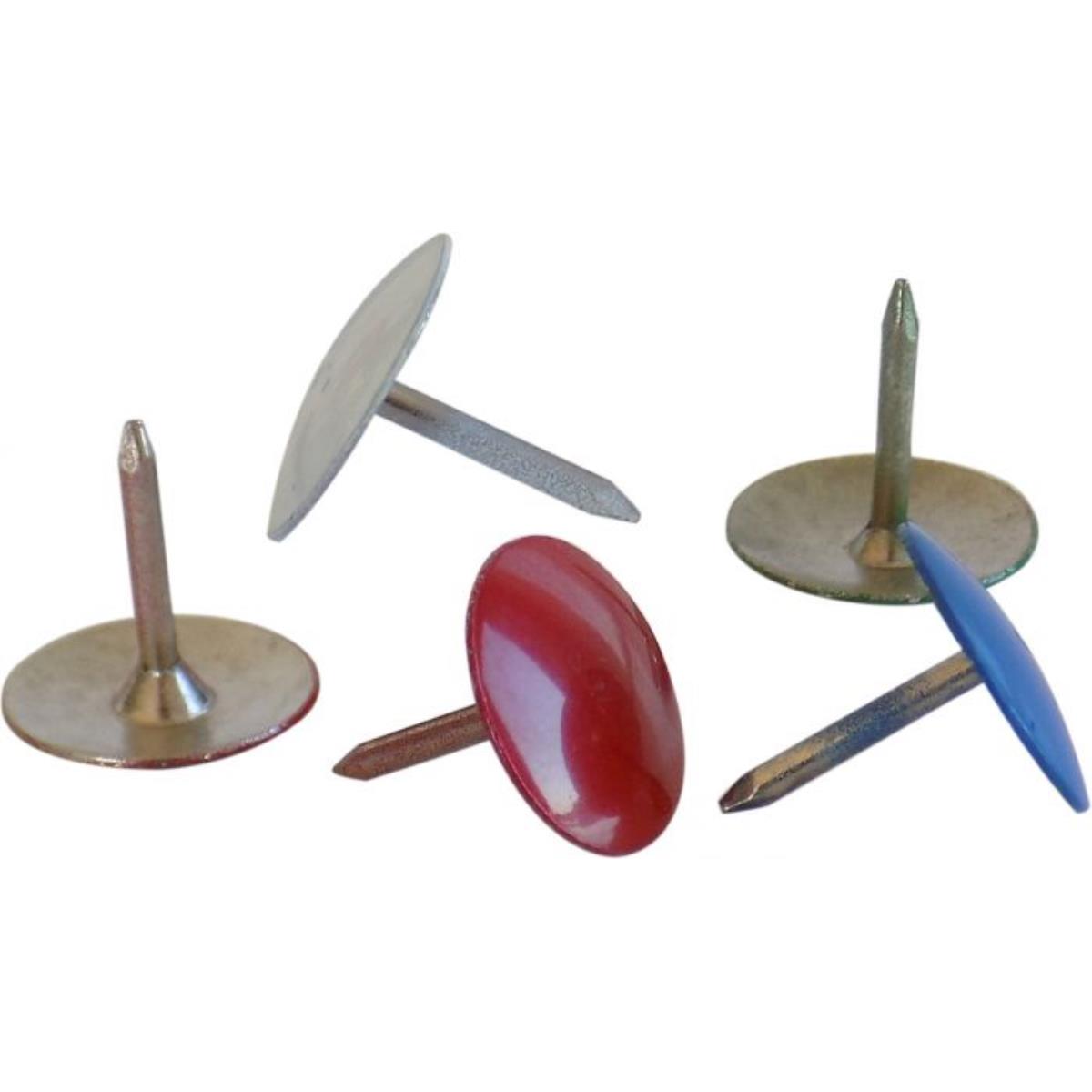 RAJSNADLE U BOJI 50 KOM 01043 | Office&More